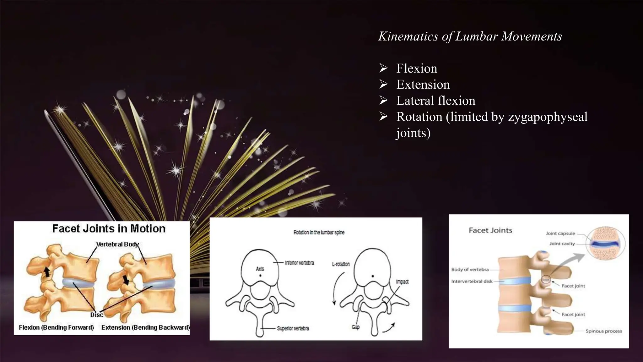 Lumbar spine 2020.pptx