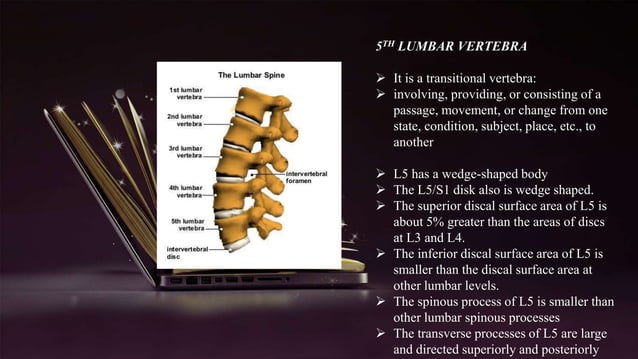 Lumbar spine 2020.pptx | Death, Injury, or Military Conflict ...