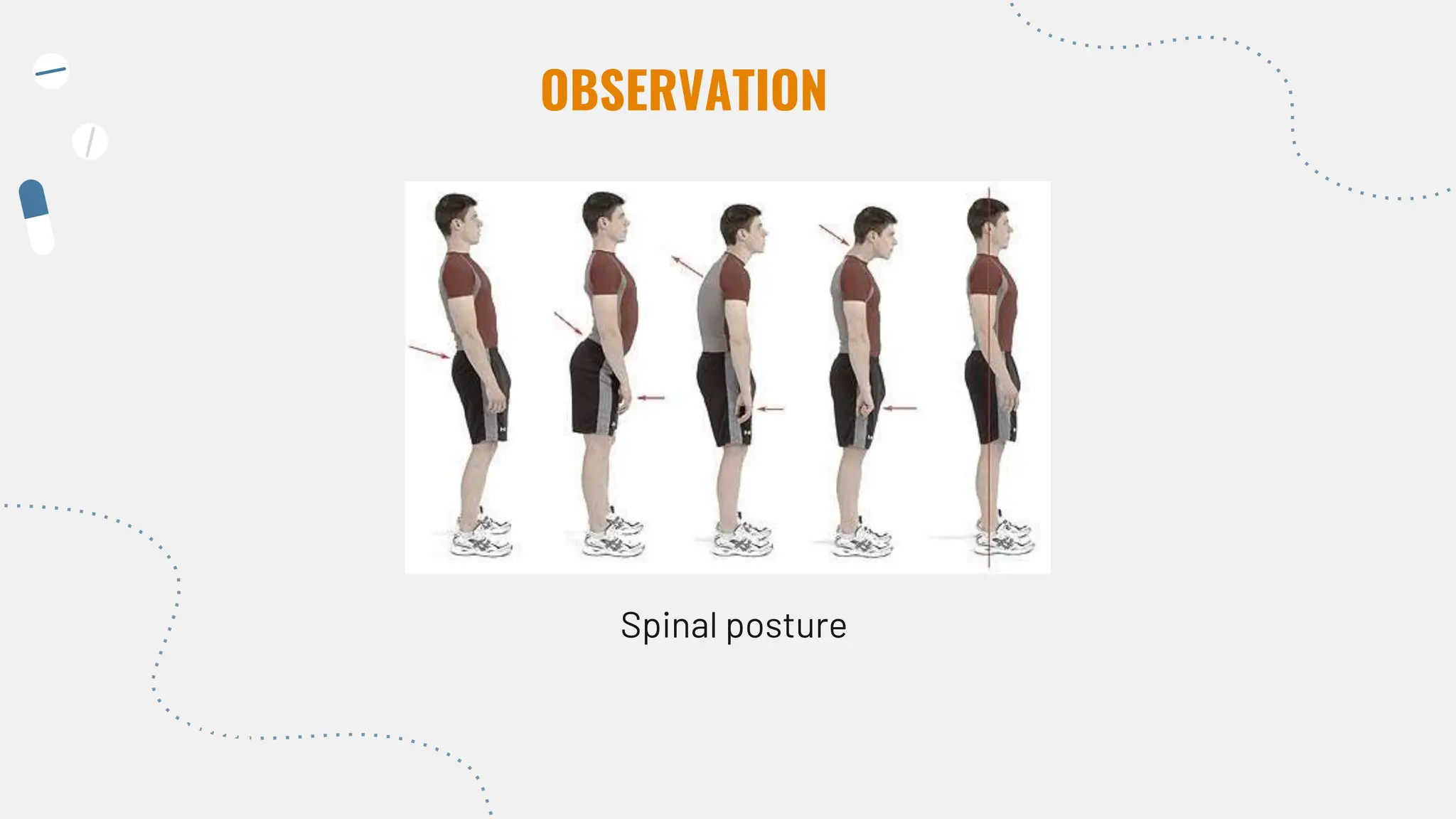 Lumbar spine physical examination in physiotherapy.pptx