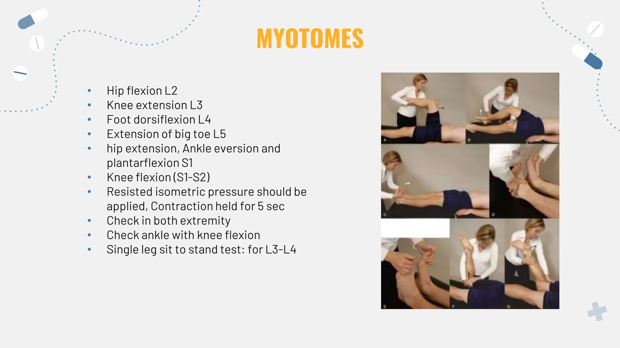Lumbar spine physical examination in physiotherapy.pptx
