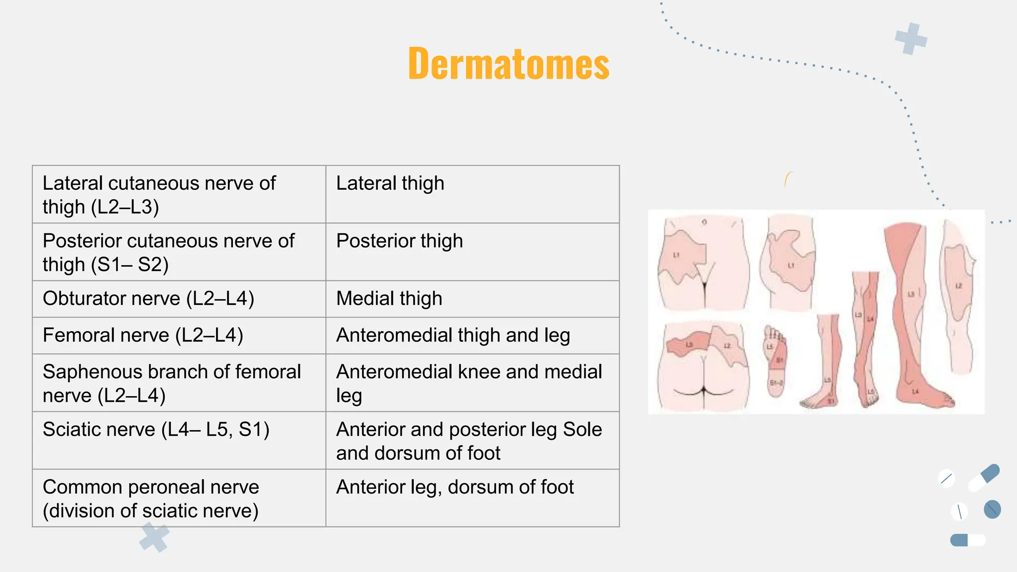 Lumbar spine physical examination in physiotherapy.pptx