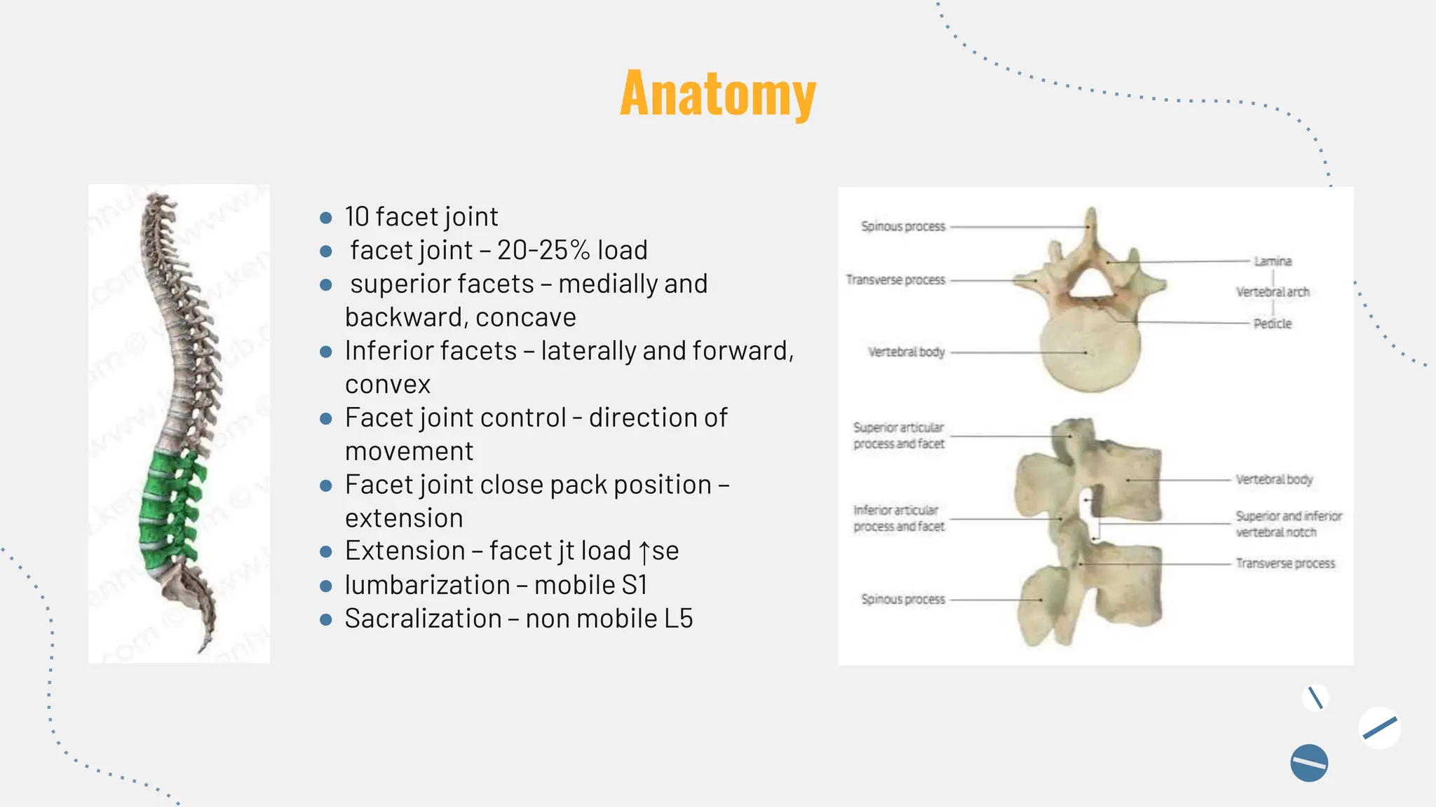 Lumbar spine physical examination in physiotherapy.pptx
