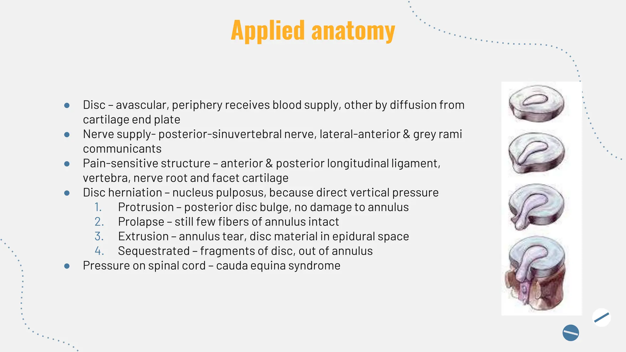 Lumbar spine physical examination in physiotherapy.pptx