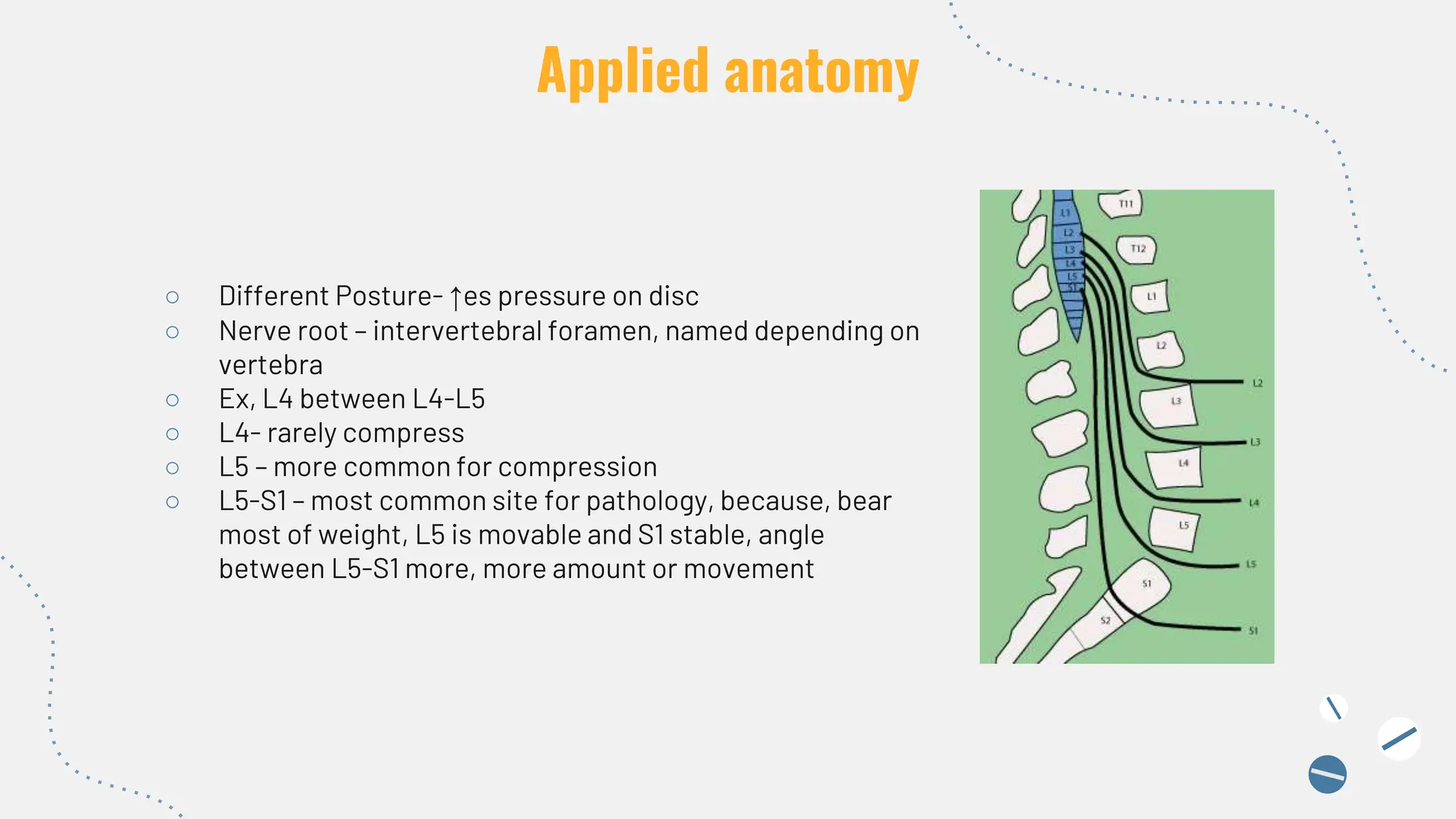 Lumbar spine physical examination in physiotherapy.pptx