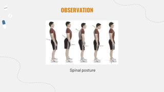 Lumbar spine physical examination in physiotherapy.pptx