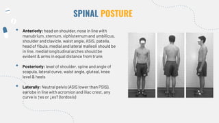 Lumbar spine physical examination in physiotherapy.pptx