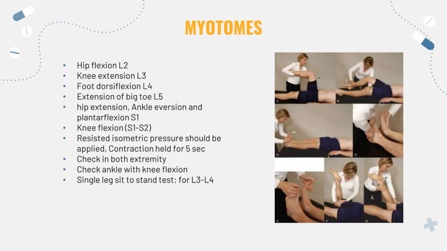 Lumbar spine physical examination in physiotherapy.pptx