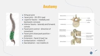 Lumbar spine physical examination in physiotherapy.pptx