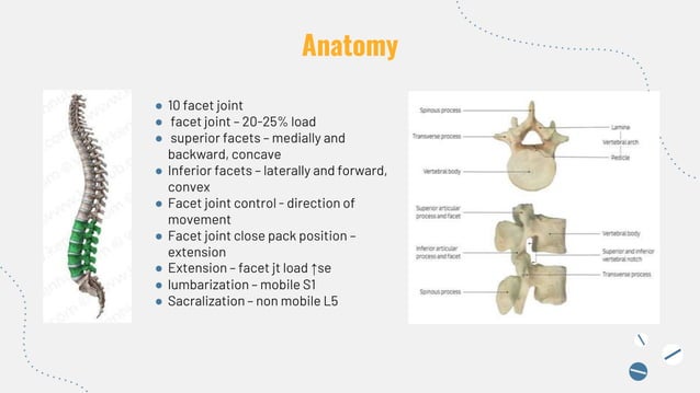 Lumbar spine physical examination in physiotherapy.pptx