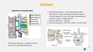 Lumbar spine physical examination in physiotherapy.pptx