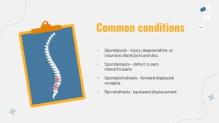 Lumbar spine physical examination in physiotherapy.pptx