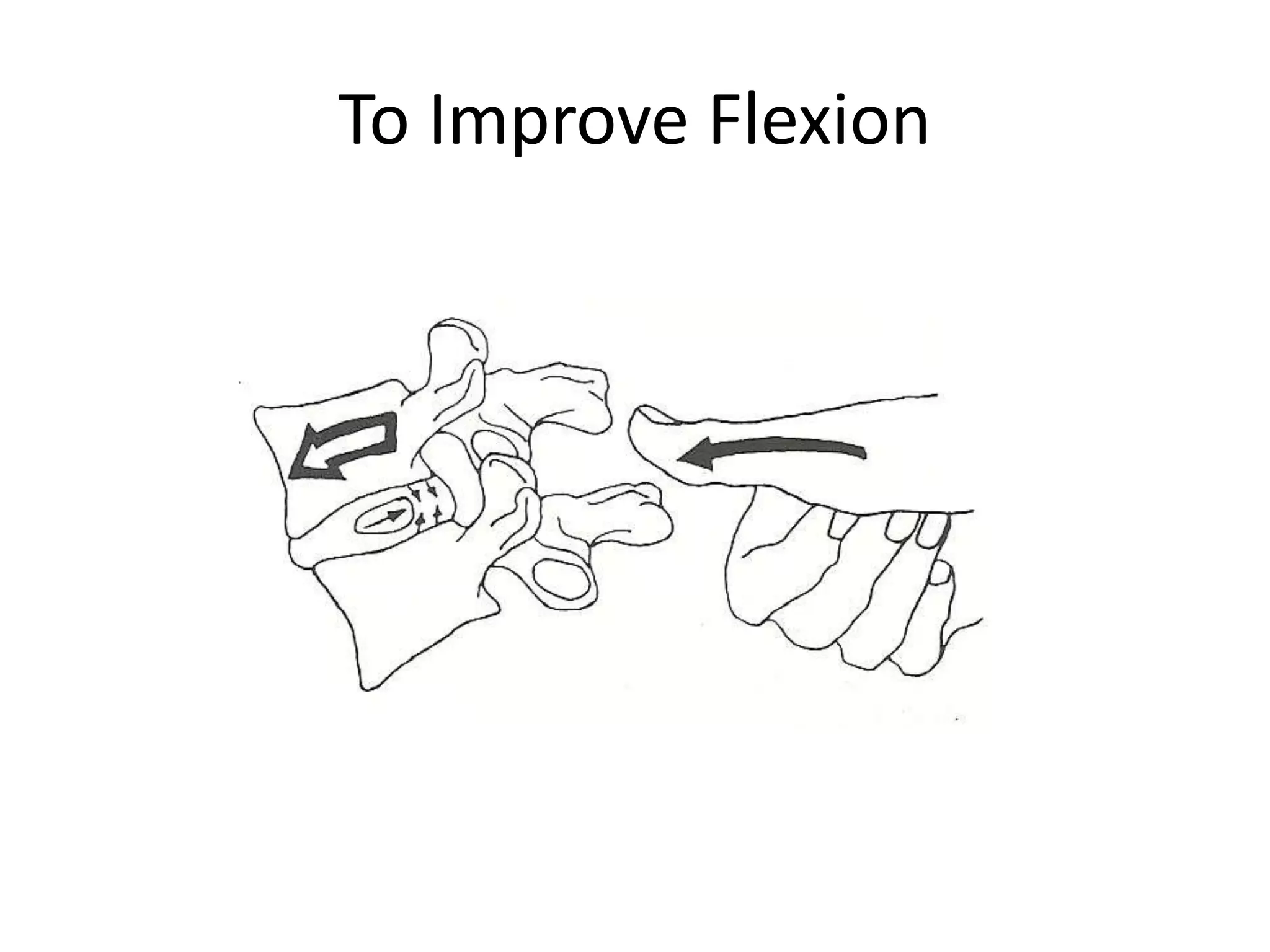 Introduction to Lumbar Spine Mobilisation - Maitland & Mulligan ...