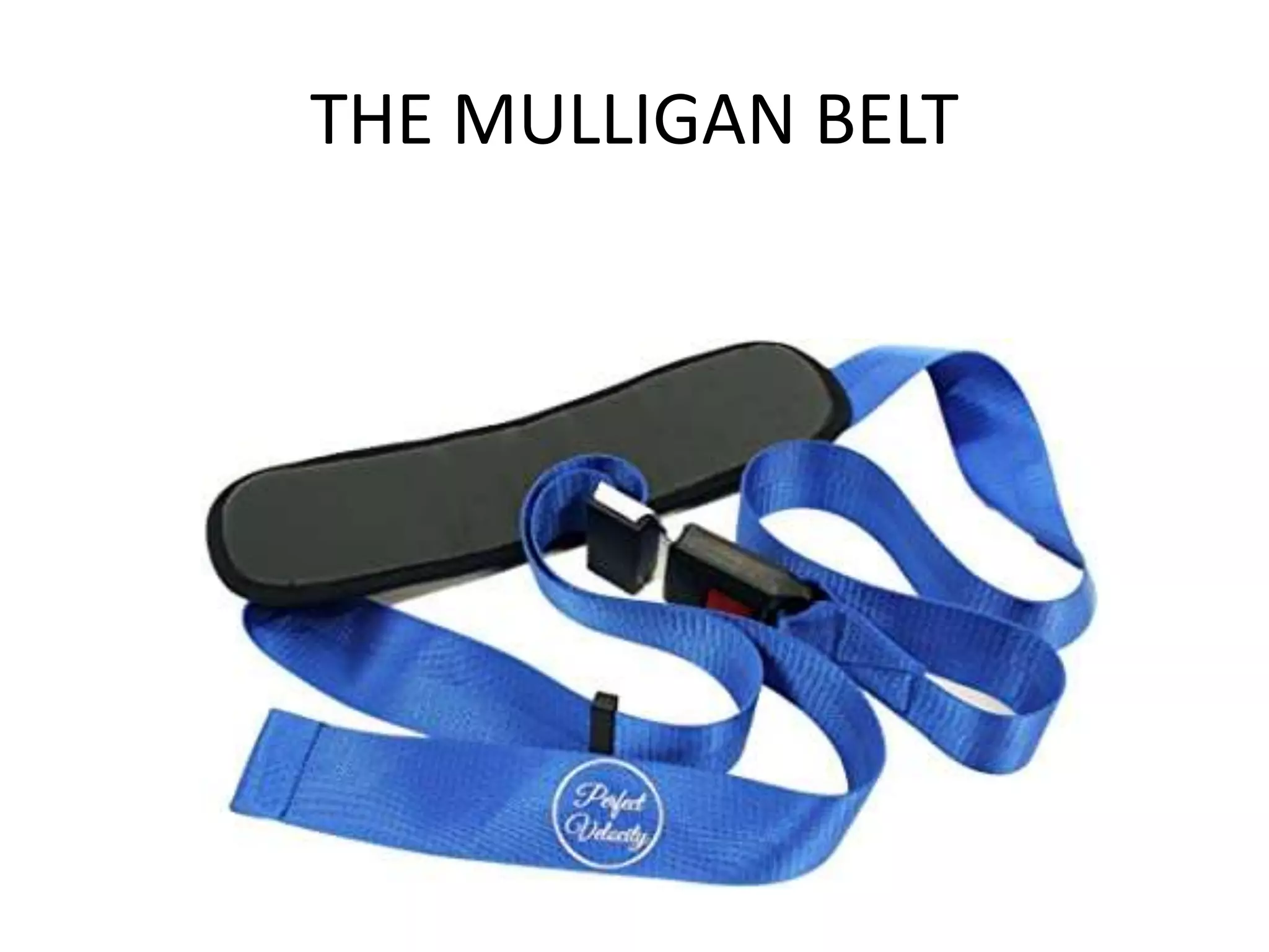 Introduction to Lumbar Spine Mobilisation - Maitland & Mulligan ...