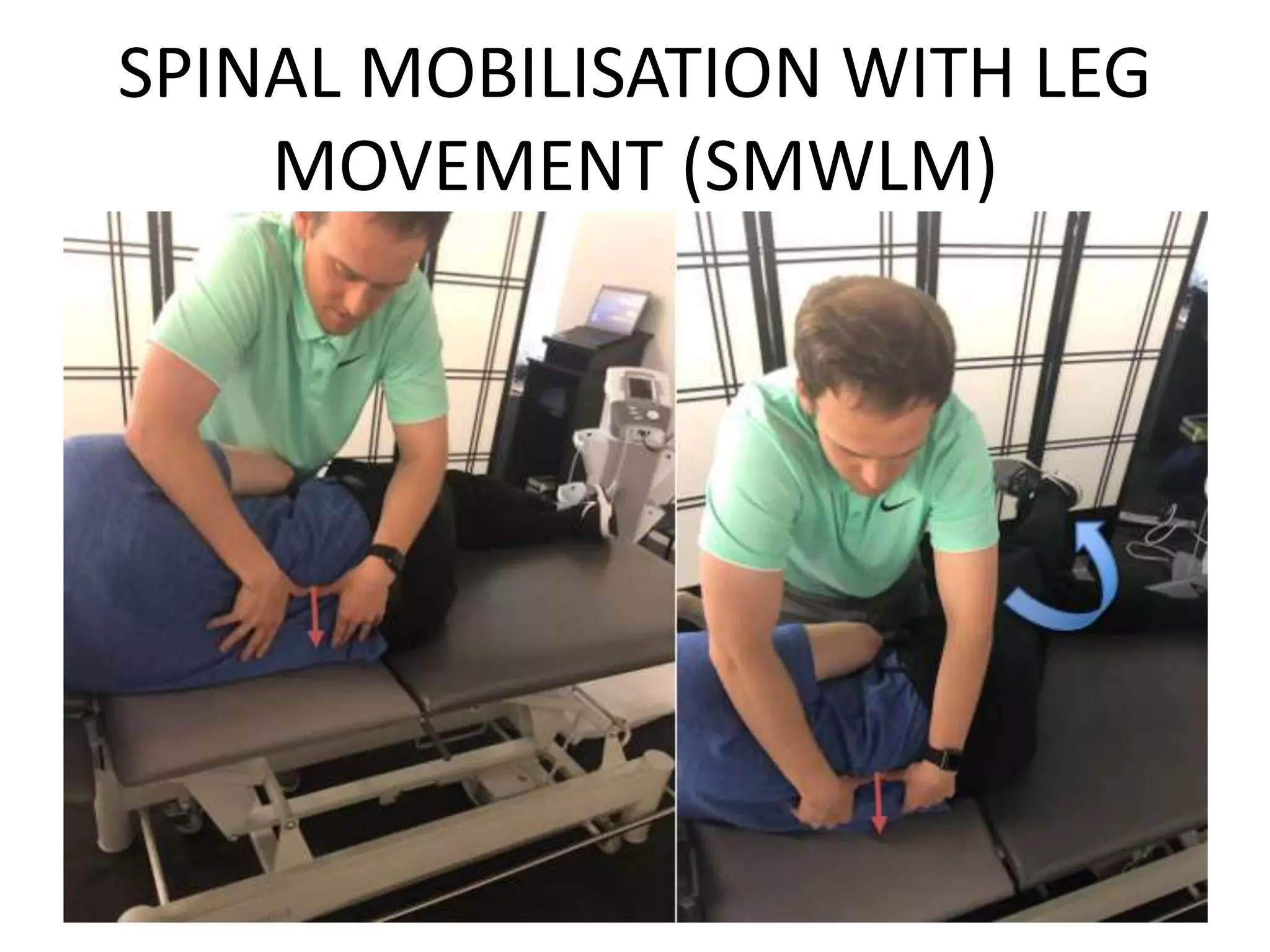 Introduction to Lumbar Spine Mobilisation - Maitland & Mulligan ...