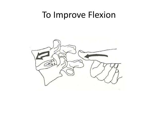 Introduction to Lumbar Spine Mobilisation - Maitland & Mulligan ...