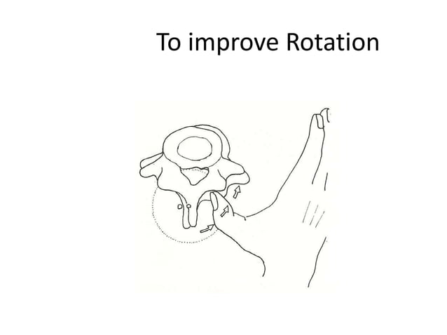 Introduction to Lumbar Spine Mobilisation - Maitland & Mulligan ...