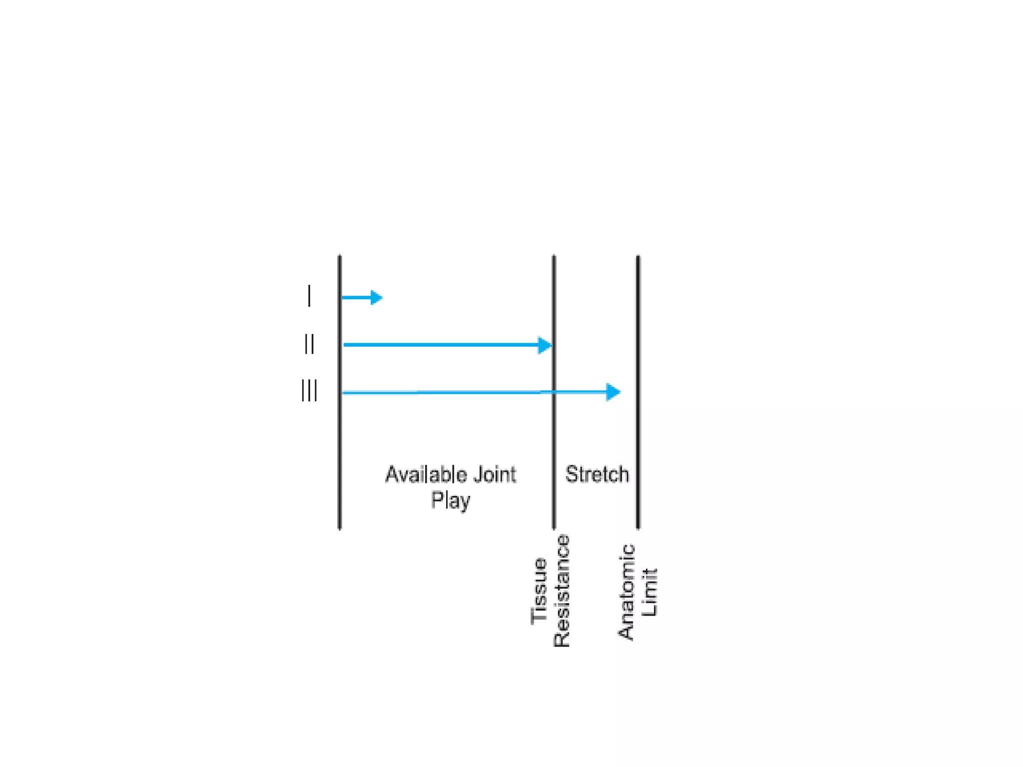 Basics of Lumbar spine mobilisation | PPT