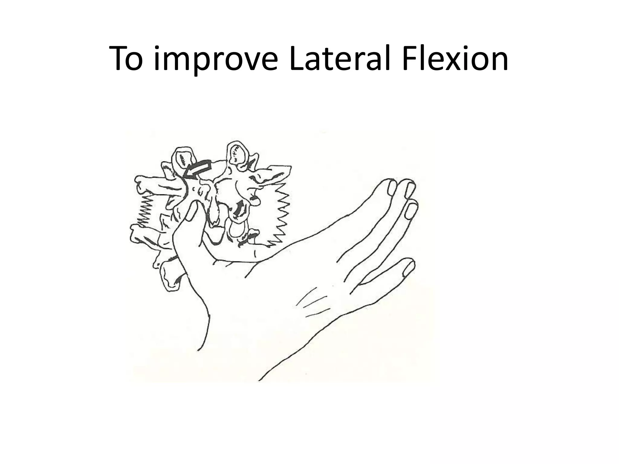 Basics of Lumbar spine mobilisation | PPT