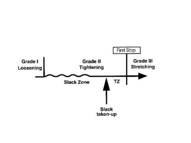 Basics of Lumbar spine mobilisation | PPT