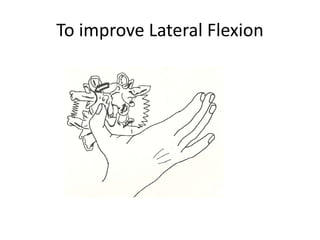 Basics of Lumbar spine mobilisation | PPT