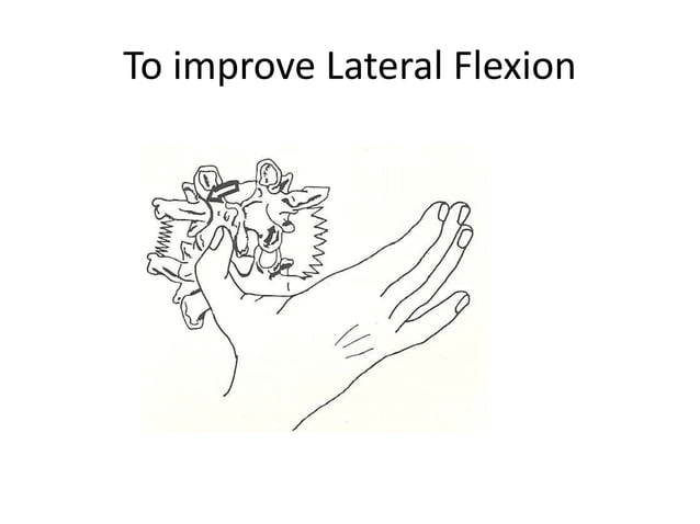 Basics of Lumbar spine mobilisation | PPT