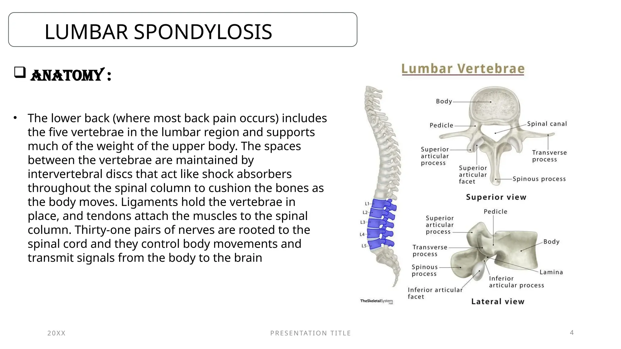 LUMBAR SPONDYLOSIS PARIMAL FINAL.pptx jsjshsh | PPTX | Death, Injury ...