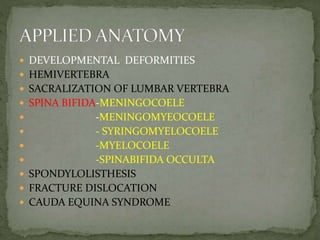 Lumbar vertebra | PPTX