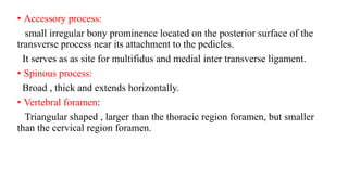 Qwertyuioplkjhgfdsazxcvbnmmnbvcxzasdfghj | PPTX