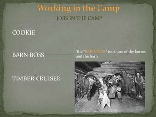 Lumber overview | PPTX