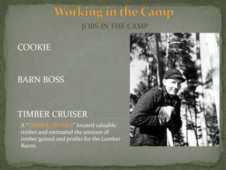 Lumber overview | PPTX