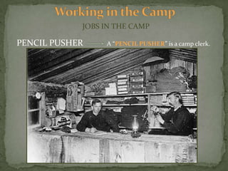 Lumber overview | PPTX