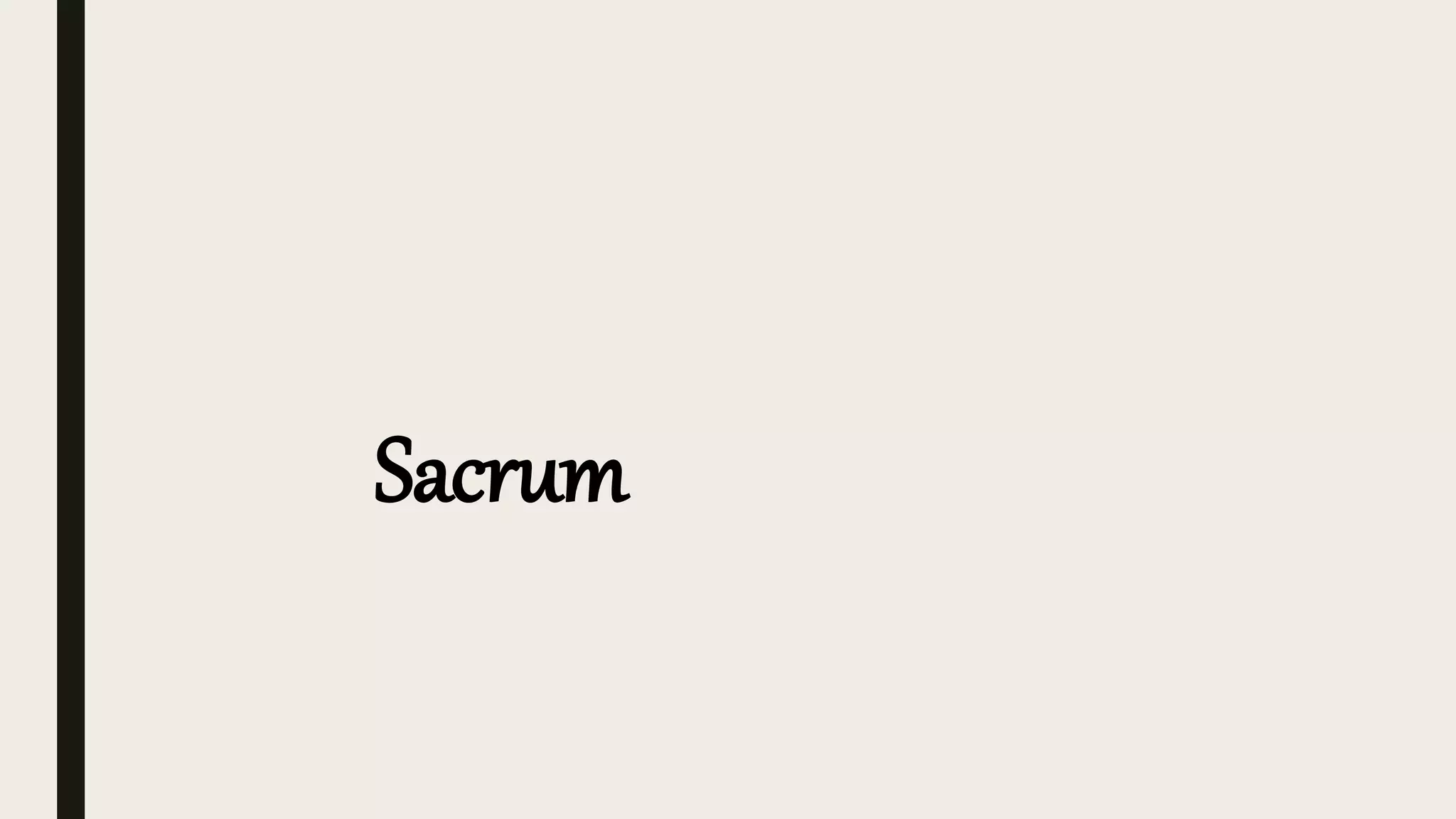 Lumbo sacral,coccyx sacrum anatomy and positioning | PPTX