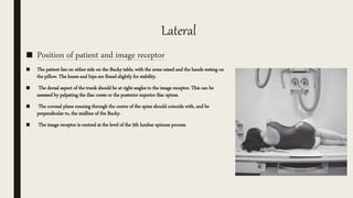 Lumbo sacral,coccyx sacrum anatomy and positioning | PPTX