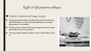 Lumbo sacral,coccyx sacrum anatomy and positioning | PPTX