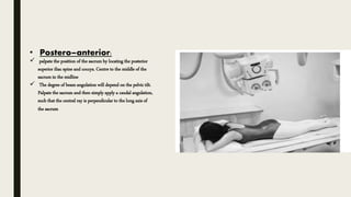 Lumbo sacral,coccyx sacrum anatomy and positioning | PPTX