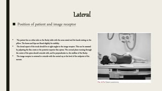 Lumbo sacral,coccyx sacrum anatomy and positioning | PPTX
