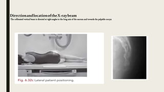 Lumbo sacral,coccyx sacrum anatomy and positioning | PPTX