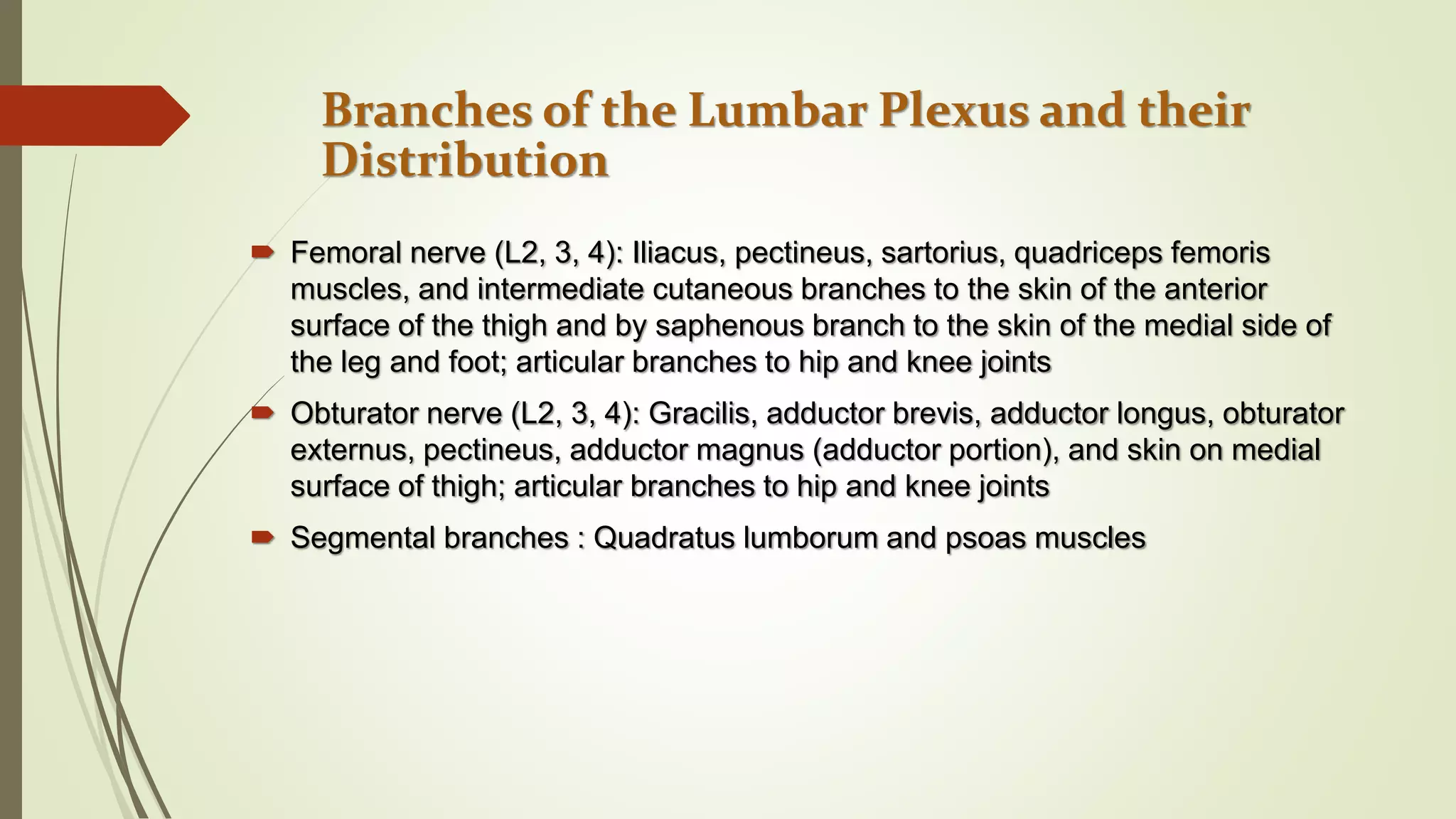 Lumbosacral (lumbar & sacral) plexus | PPTX