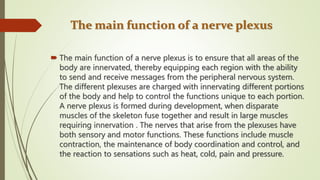 Lumbosacral (lumbar & sacral) plexus | PPTX