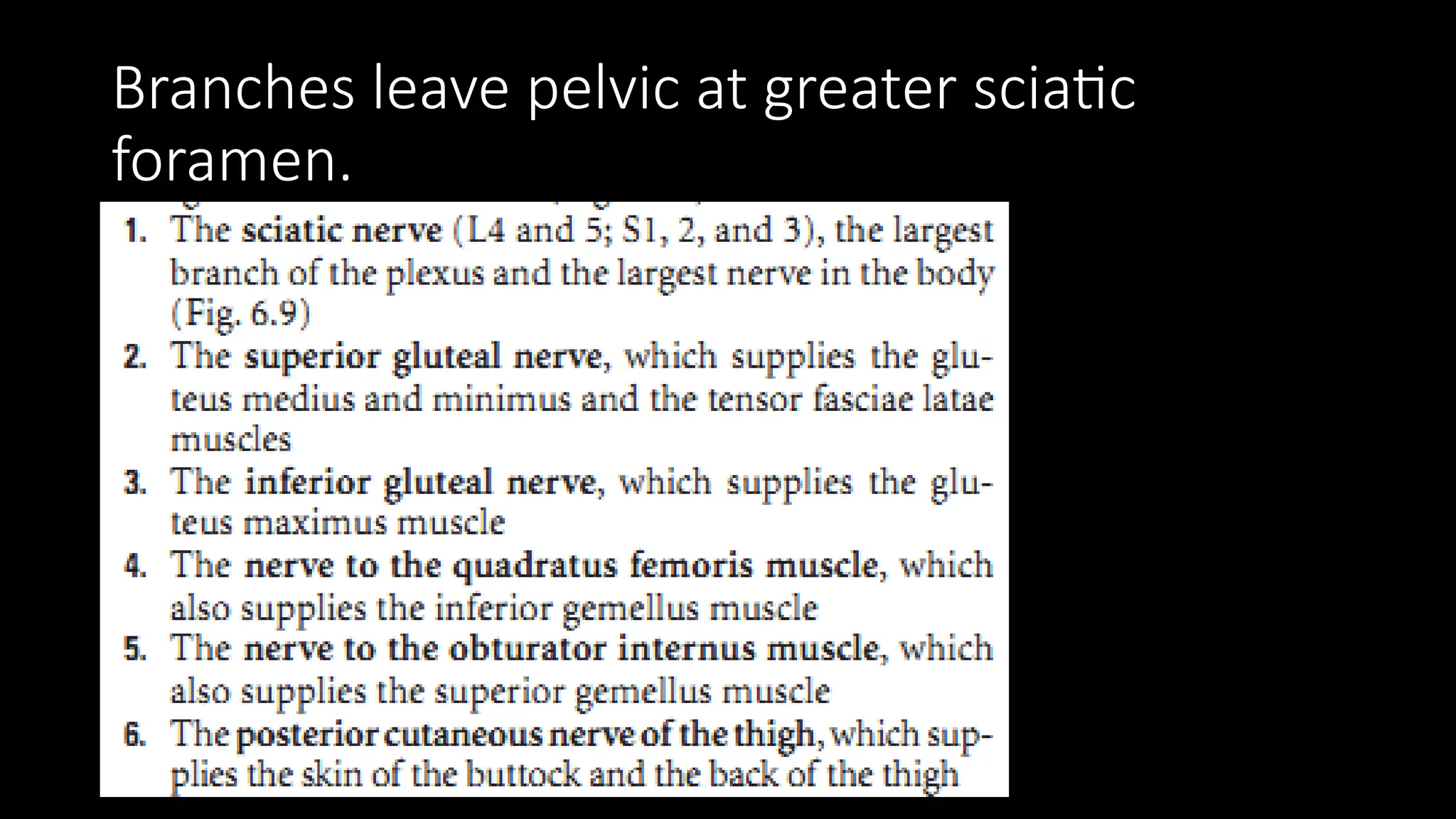 Lumbosacral plexus anatomy for students. pptx | PPTX