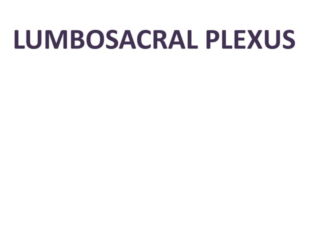 Lumbar plexus | PPT