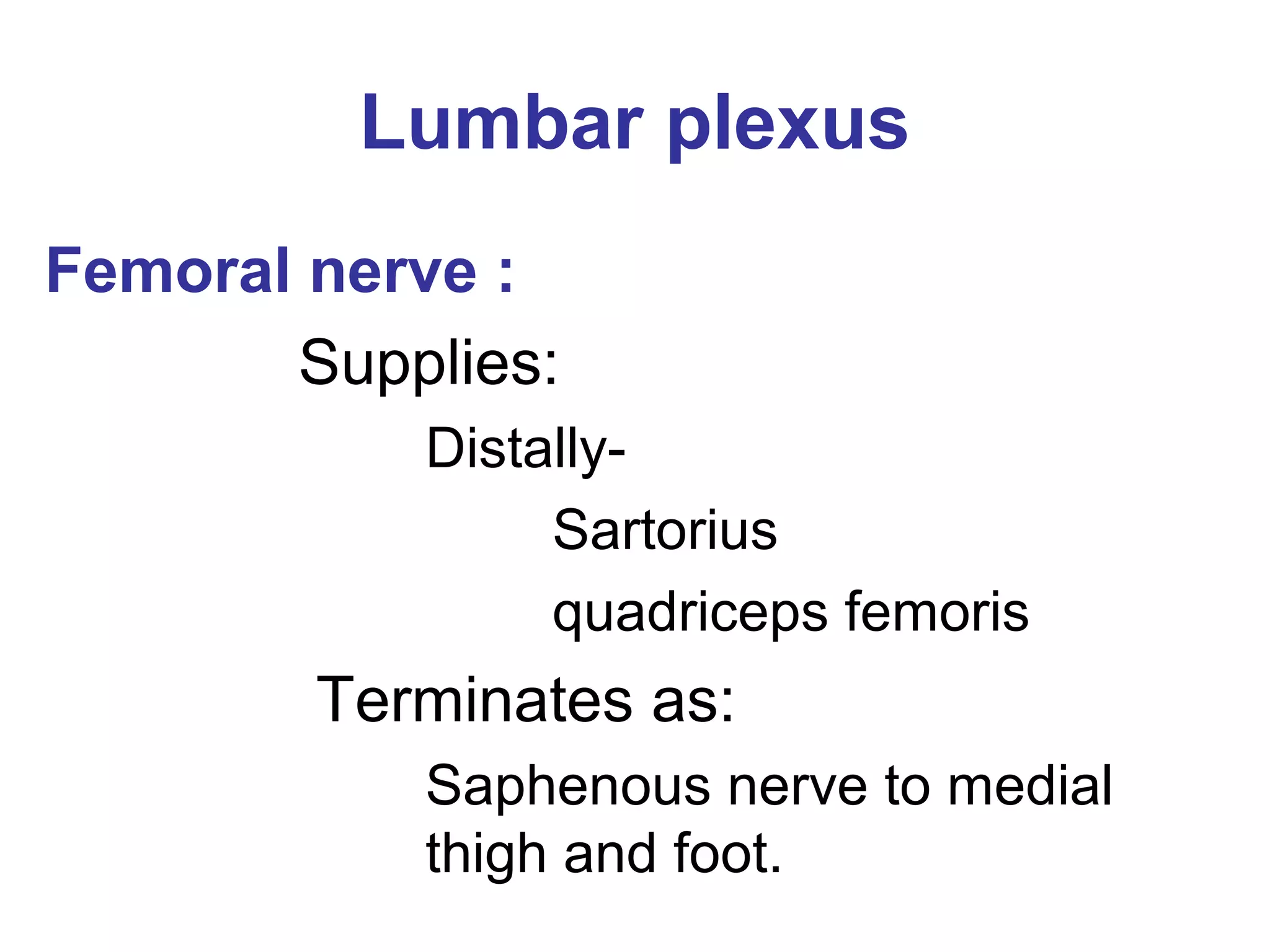 Lumbosacral plexus by dr swapan (1) | PPT