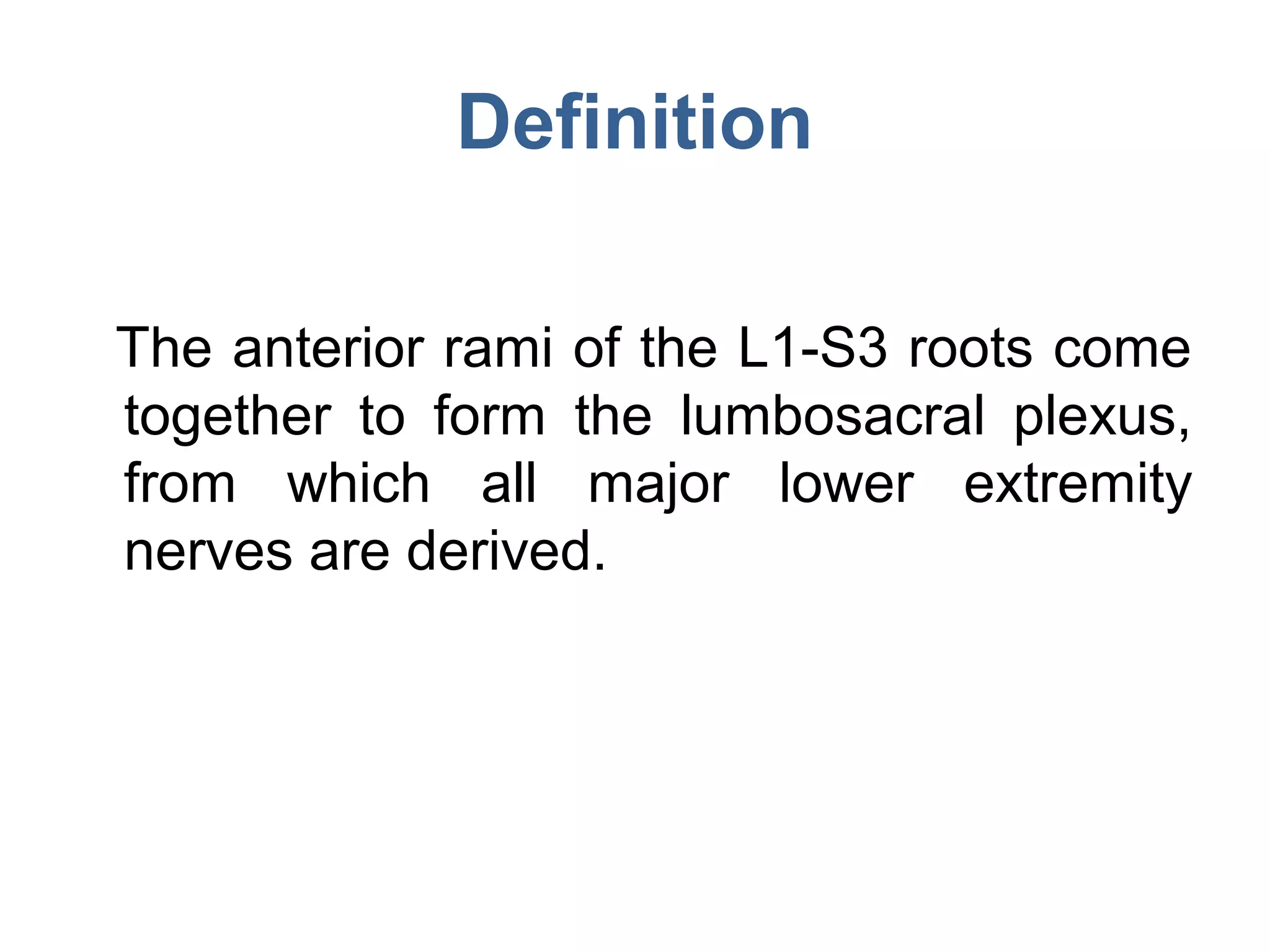 Lumbosacral plexus by dr swapan (1) | PPT
