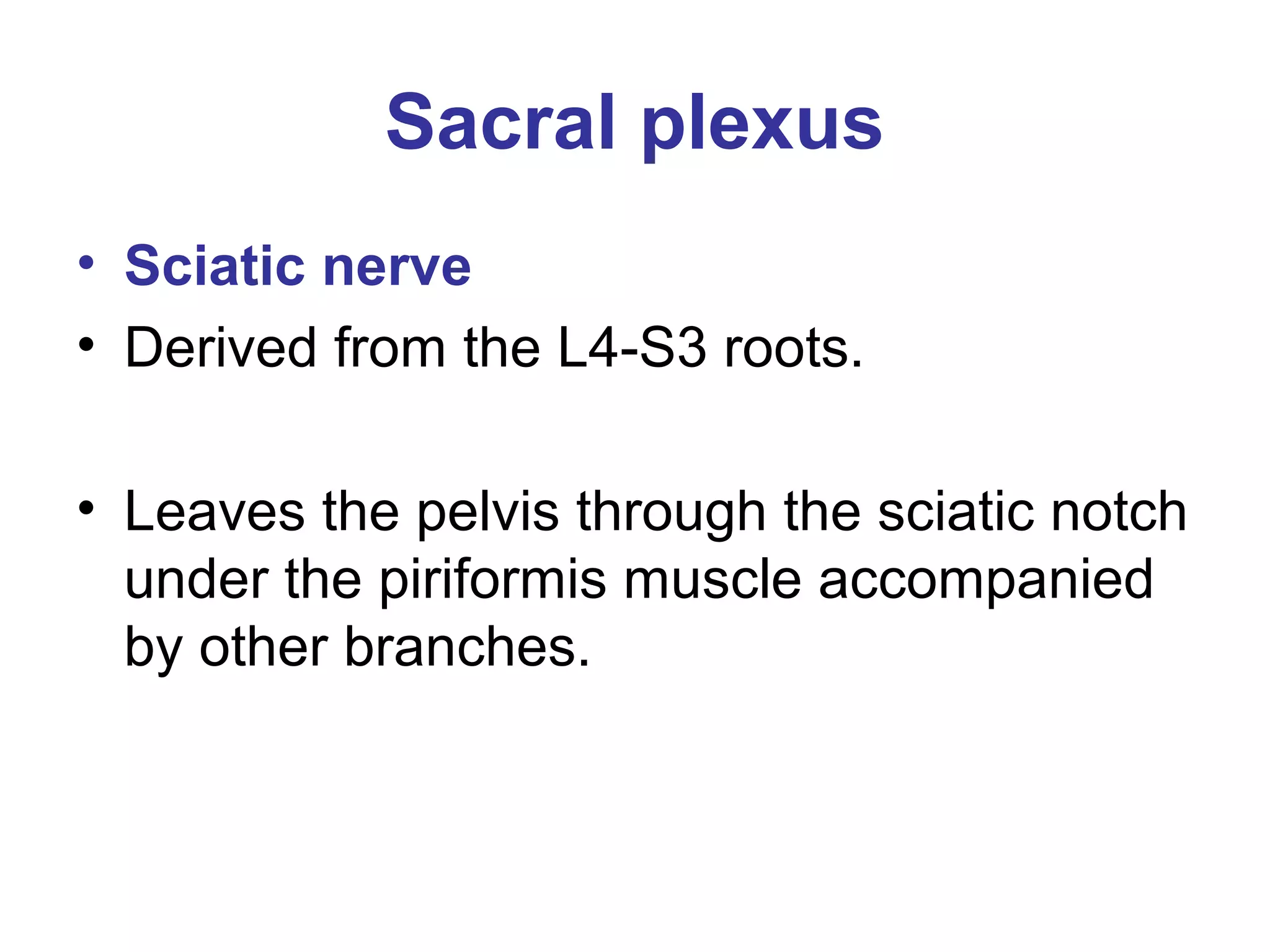 Lumbosacral plexus by dr swapan (1) | PPT