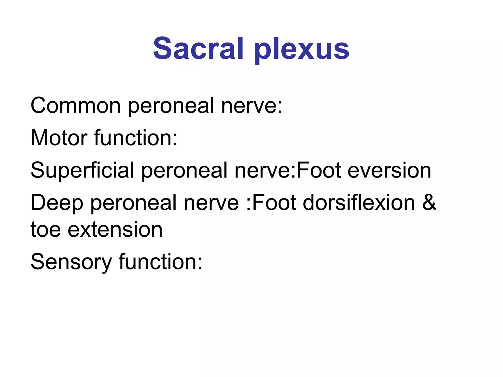 Lumbosacral plexus by dr swapan (1) | PPT