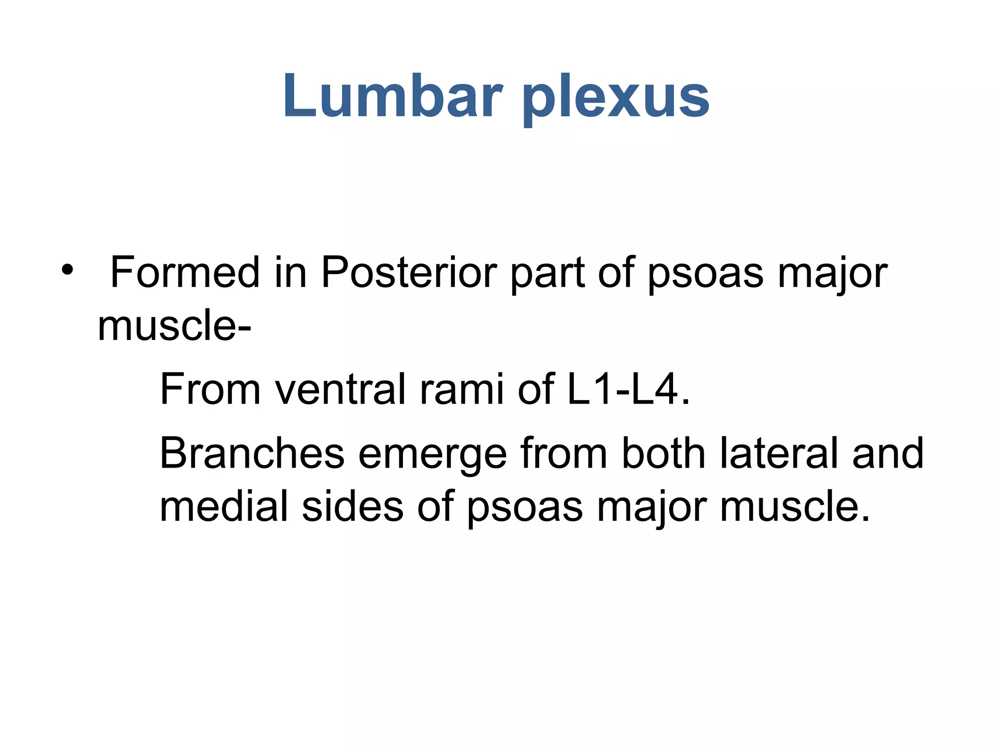Lumbosacral plexus by dr swapan (1) | PPT