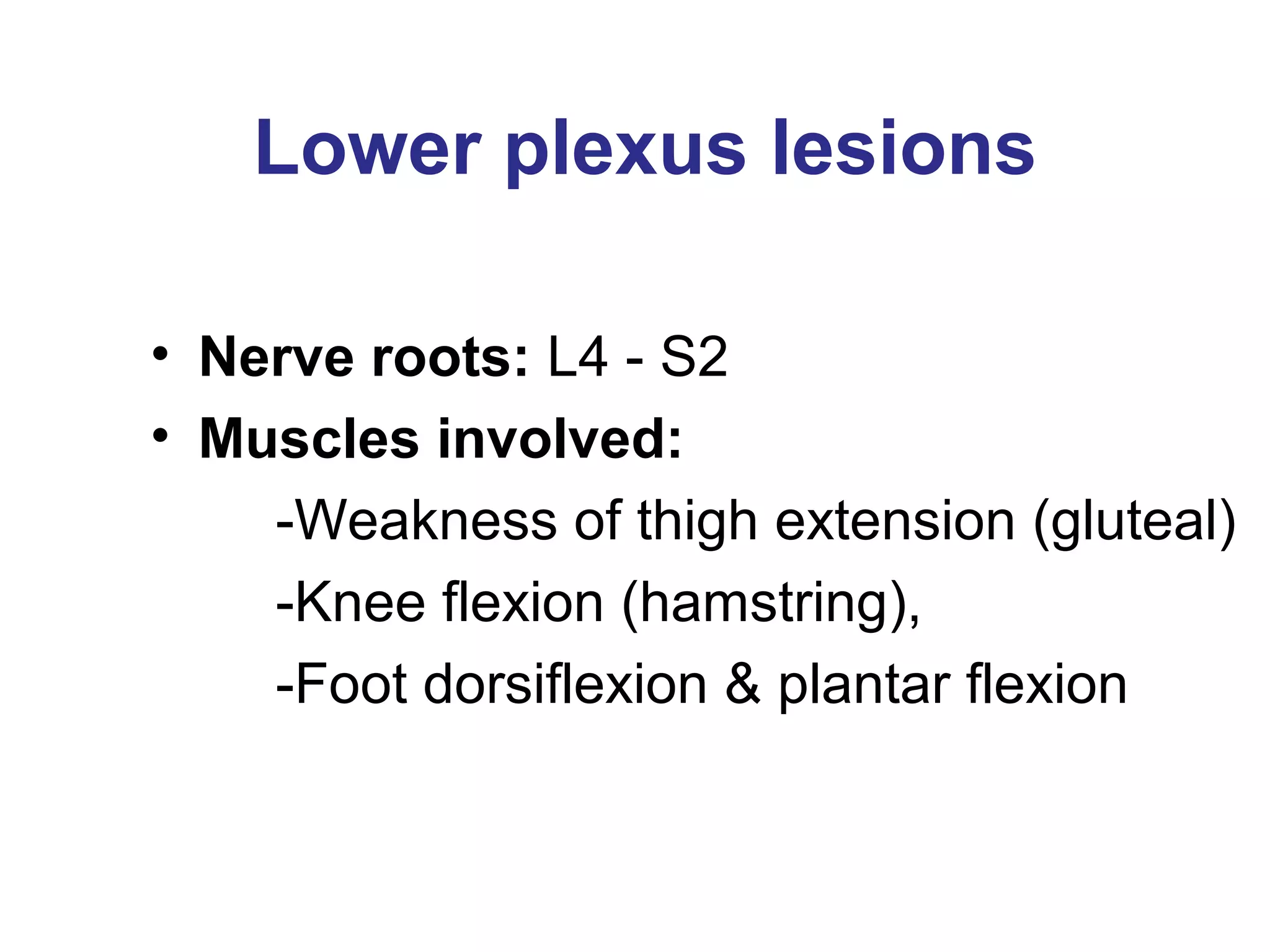Lumbosacral plexus by dr swapan (1) | PPT