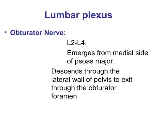 Lumbosacral plexus by dr swapan (1) | PPT