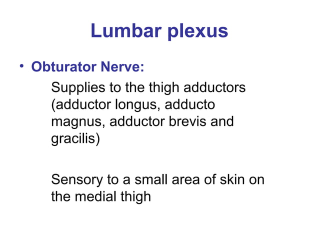 Lumbosacral plexus by dr swapan (1) | PPT