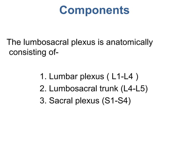 Lumbosacral plexus by dr swapan (1) | PPT